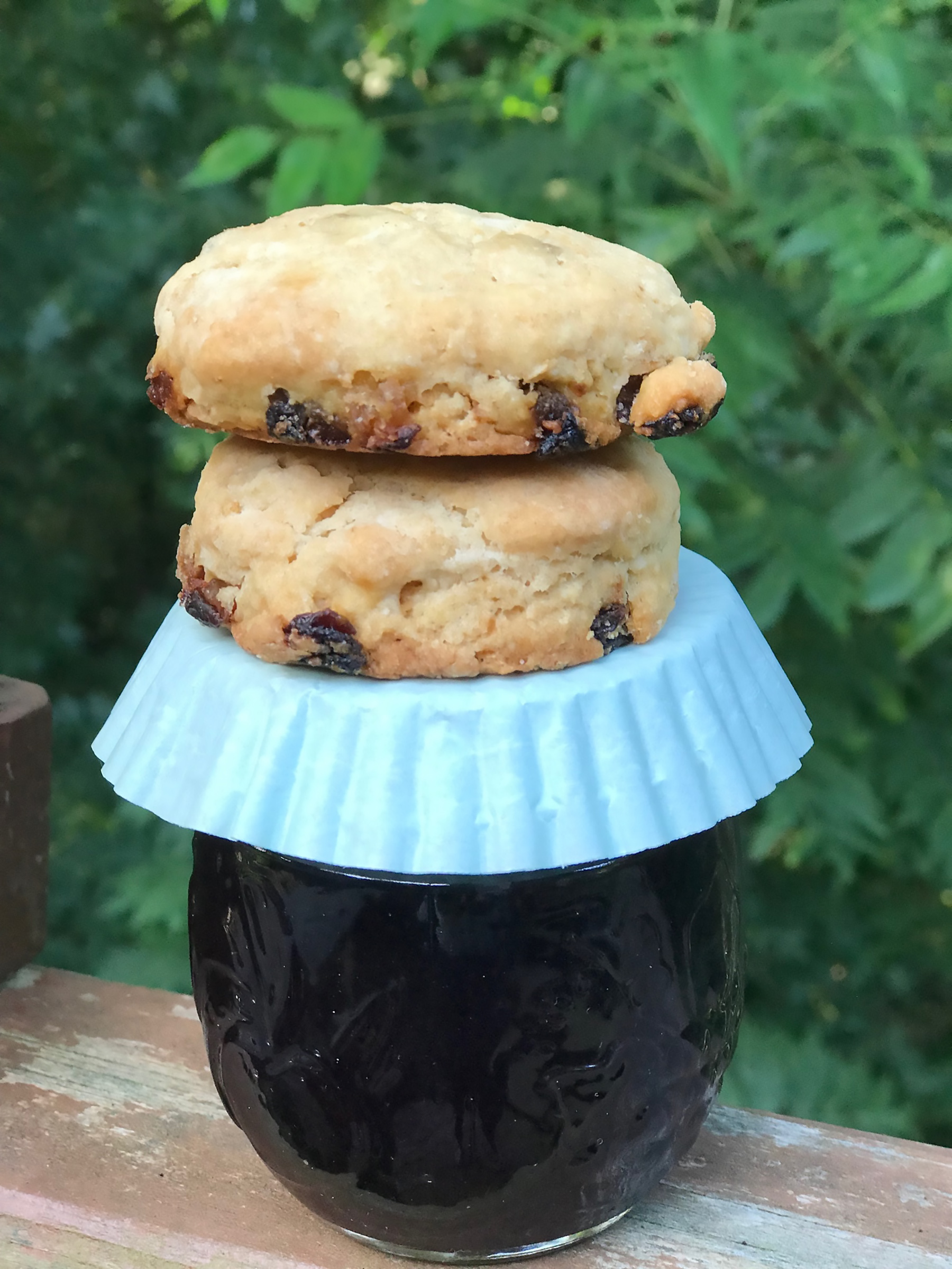 Black Raspberries (Rubus): 2020 Herb of the Year - Countryside